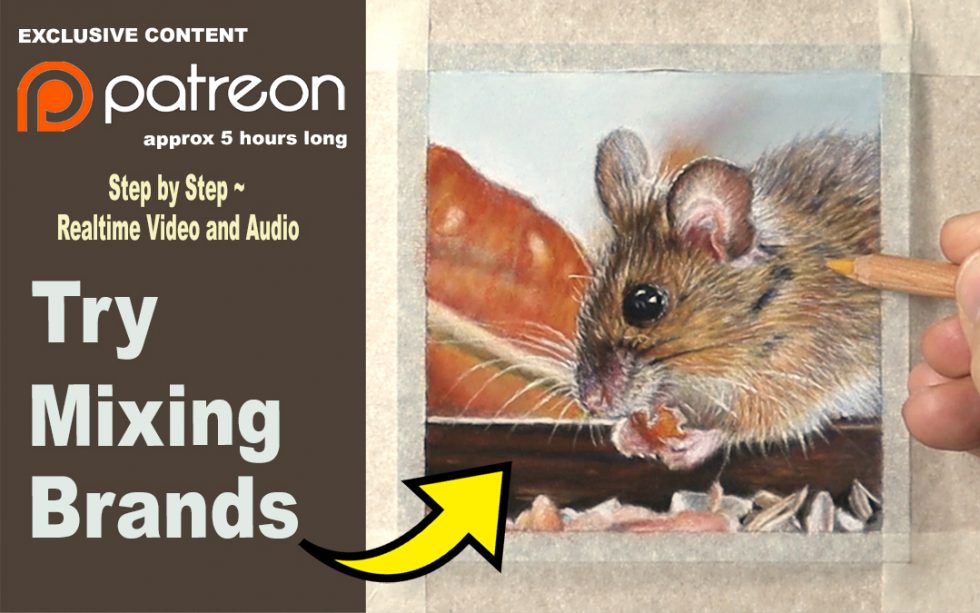 How to Draw a mouse in pastels … Patreon Tutorials - Dave Porter’s Art