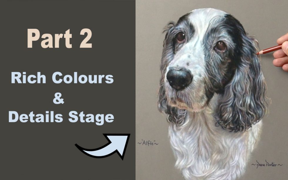 Pet Pastel Portrait ~ Rich Colour & Detail Stage. - Dave Porter’s Art